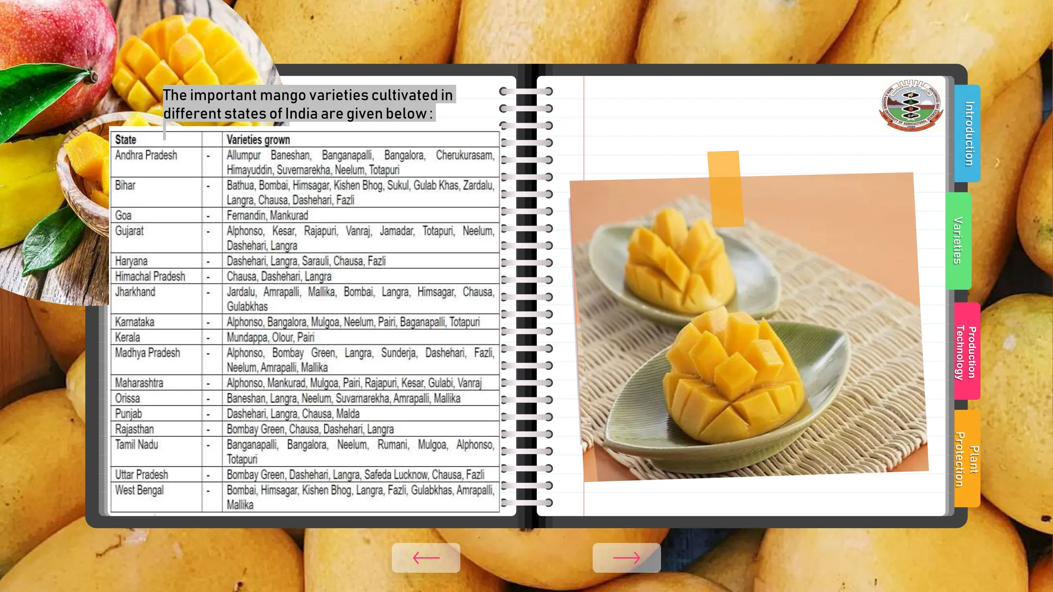 Mango: Production Technology , Plant protection , Agronomy , Varieties | PPTX