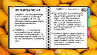 Mango: Production Technology , Plant protection , Agronomy , Varieties ...