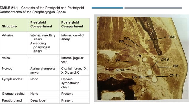 Management of parapharyngeal space tumours.pptx