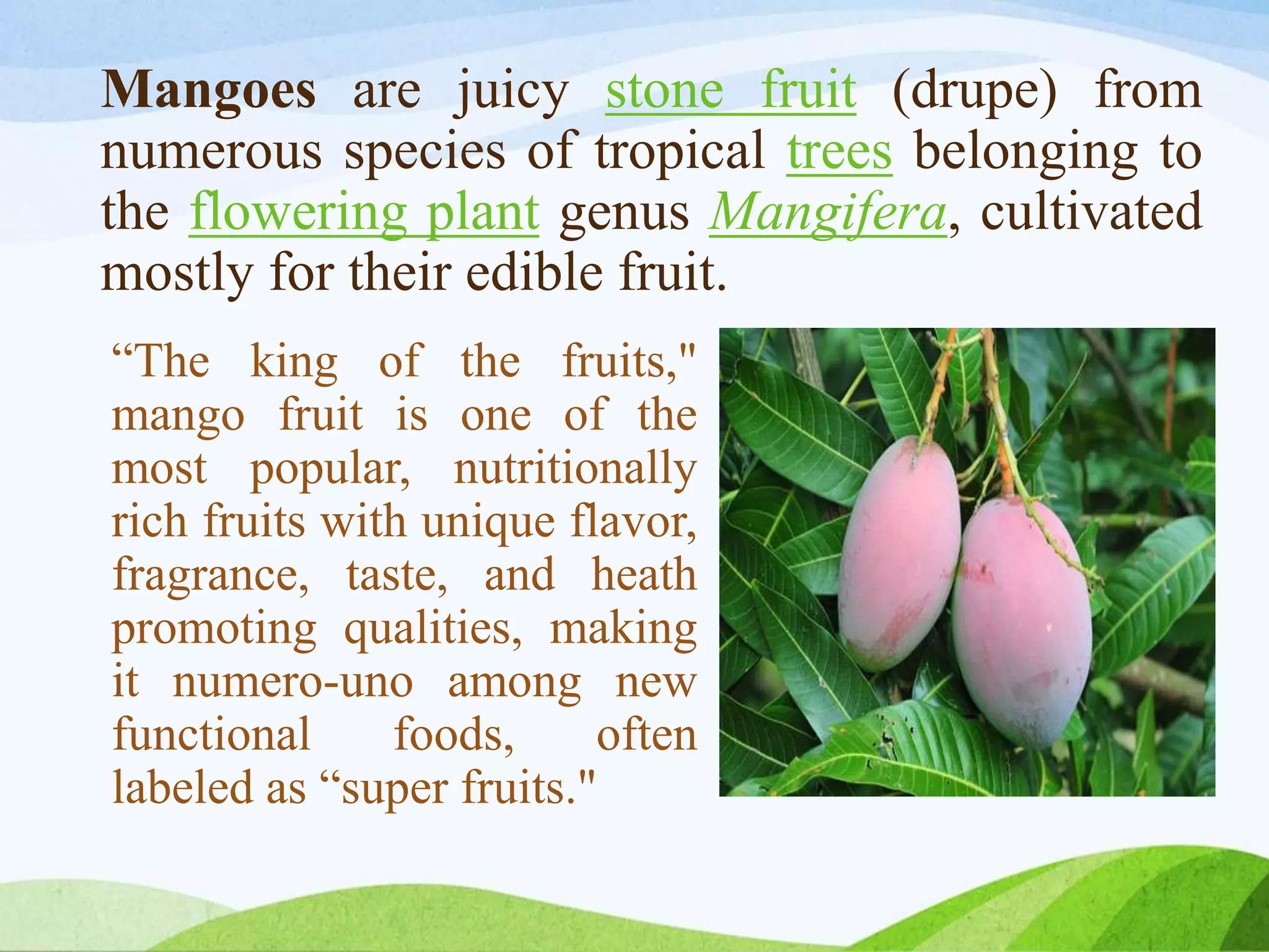 Mango fruit precooling techniques | PPTX