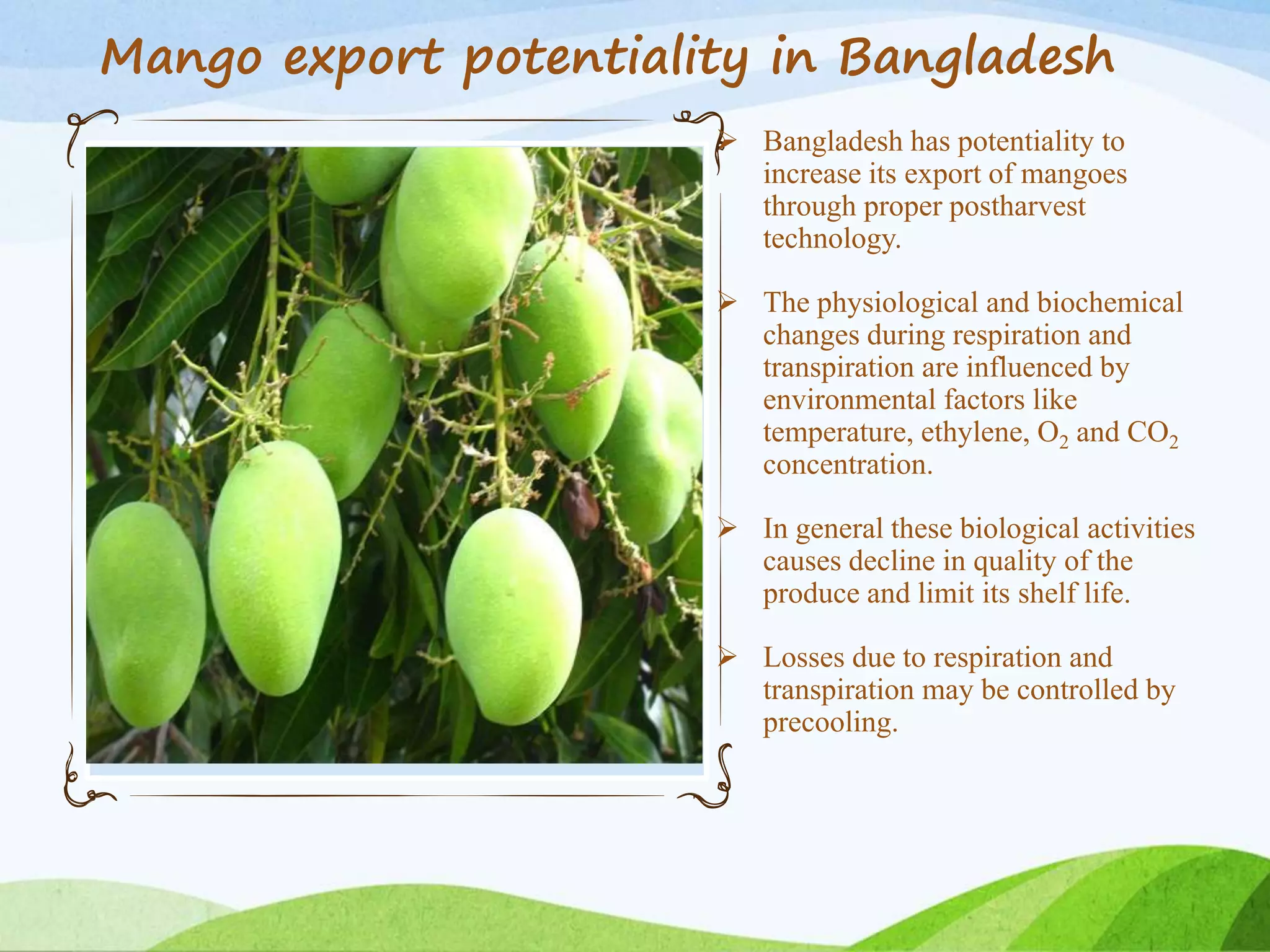 Mango fruit precooling techniques | PPTX