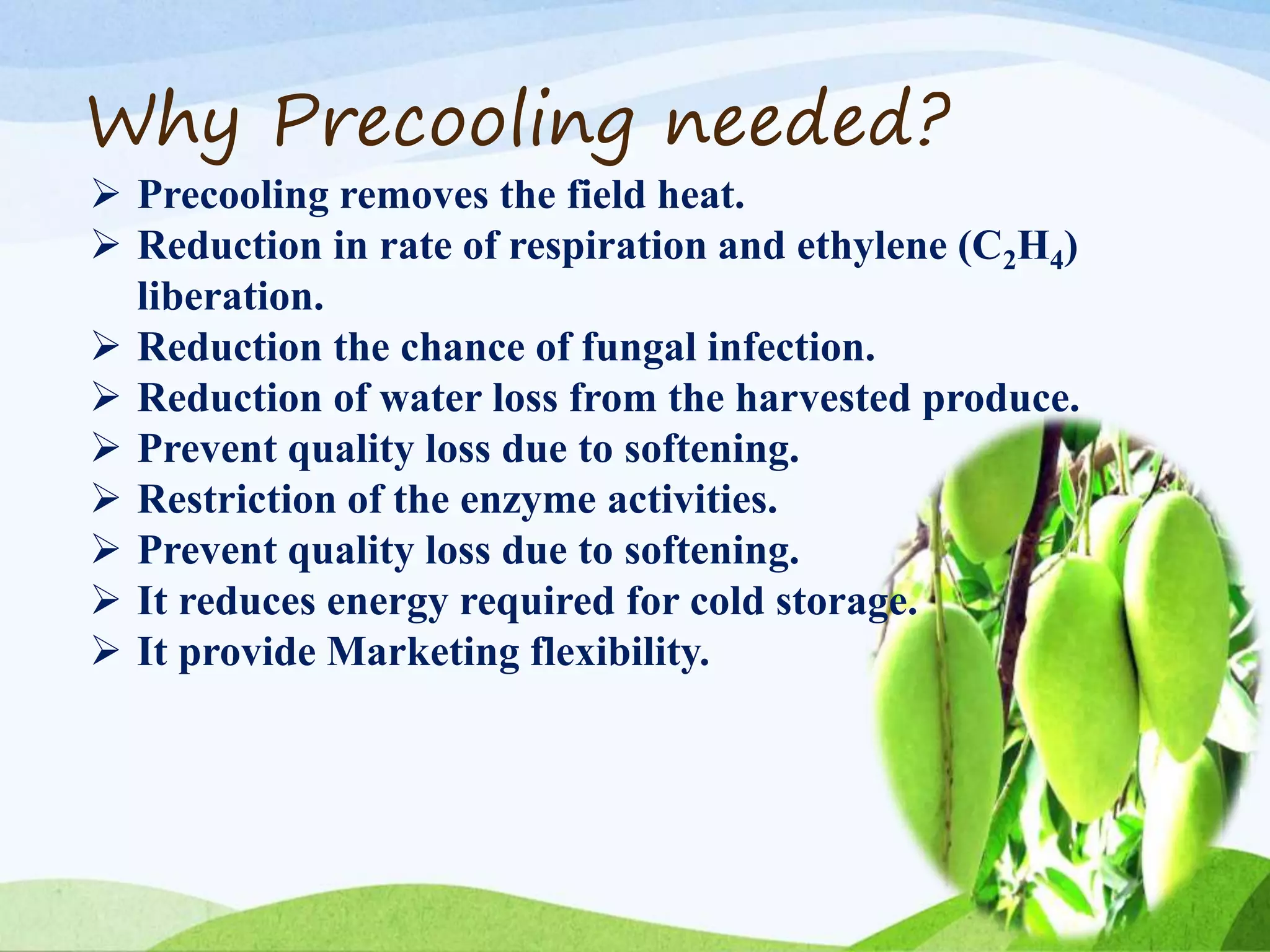 Mango fruit precooling techniques | PPTX