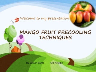 Mango fruit precooling techniques | PPTX