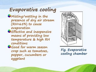Mango fruit precooling techniques | PPTX