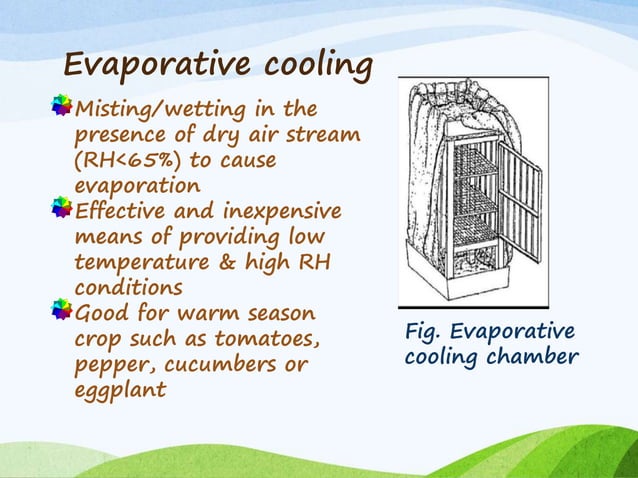 Mango fruit precooling techniques | PPTX