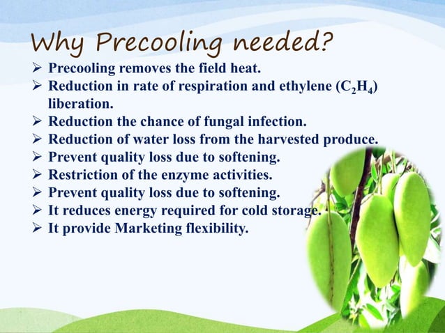 Mango fruit precooling techniques | PPTX