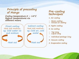 Mango fruit precooling techniques | PPTX