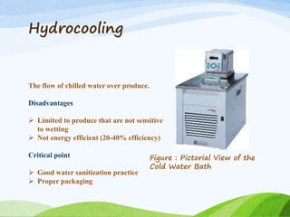 Mango fruit precooling techniques | PPTX