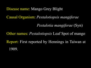 Mango grey blight | PPT