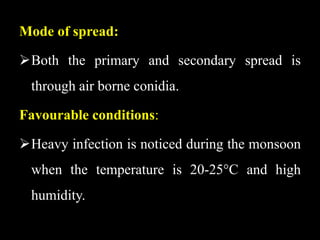 Mango grey blight | PPT