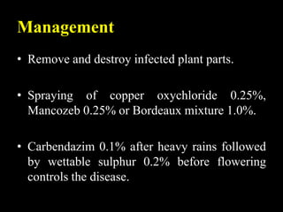 Mango grey blight | PPTX
