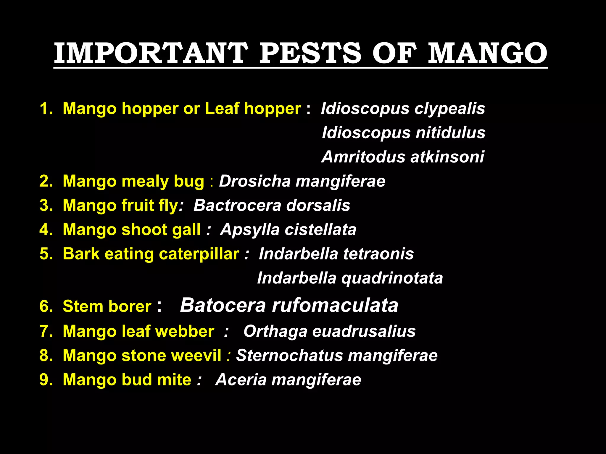 Important Mango Pests | PPT