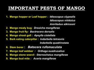 Important Mango Pests | PPT