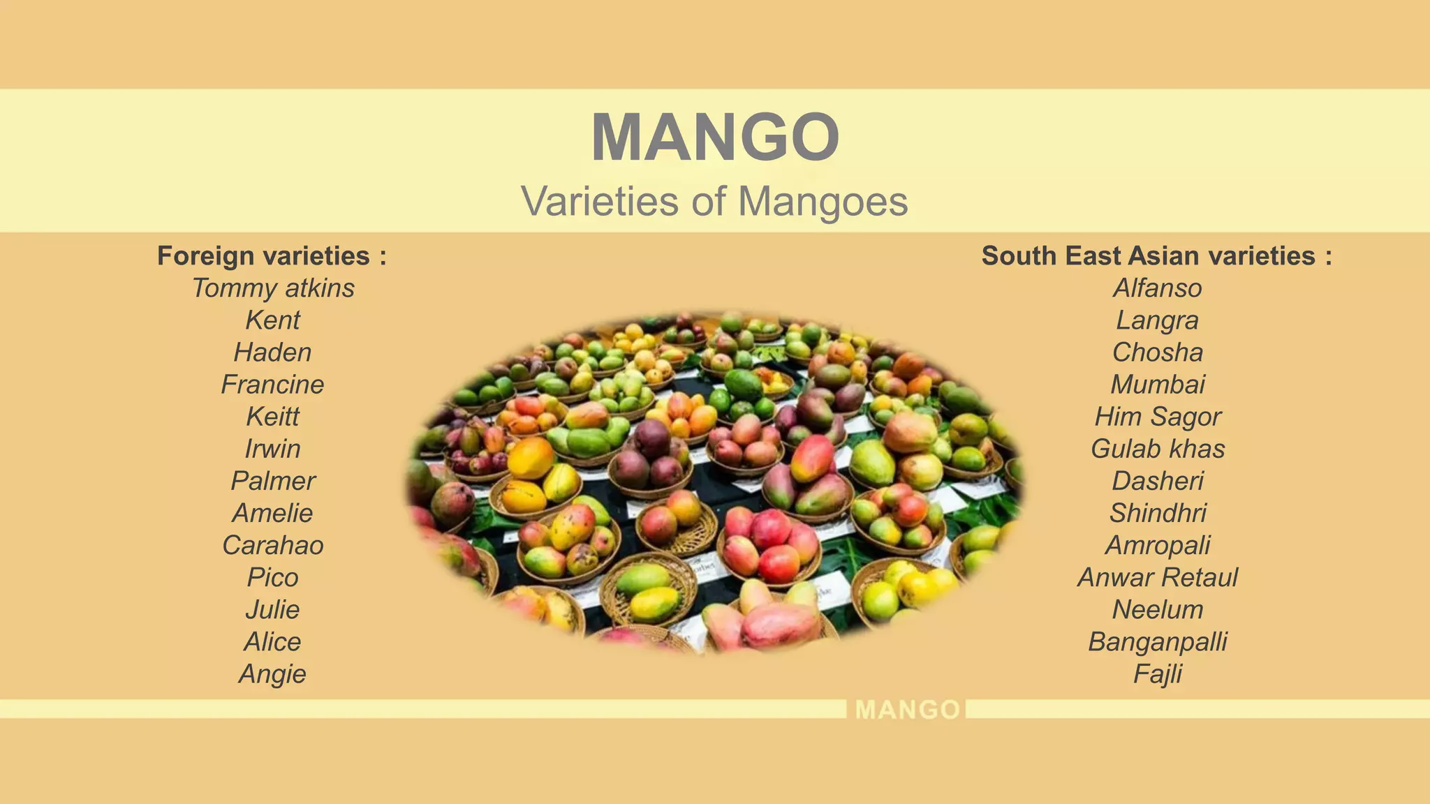 Mango in South-East Asia | PPT