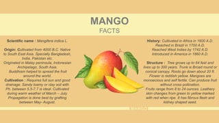 Mango in South-East Asia | PPT