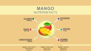 Mango in South-East Asia | PDF