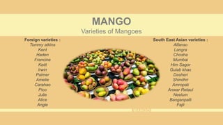 Mango in South-East Asia | PDF