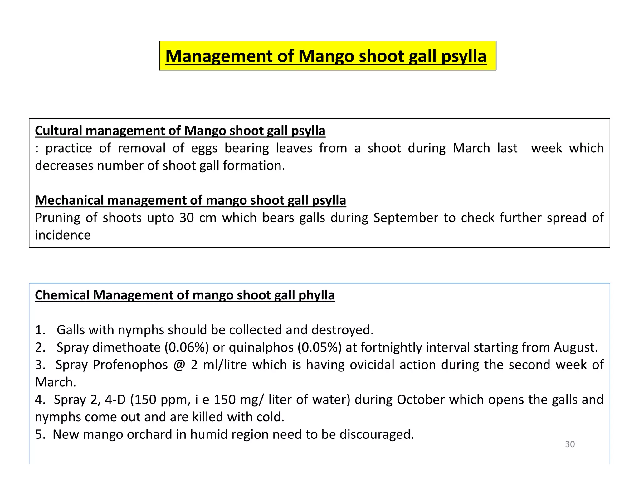 Mango insect pests and their management. | PDF
