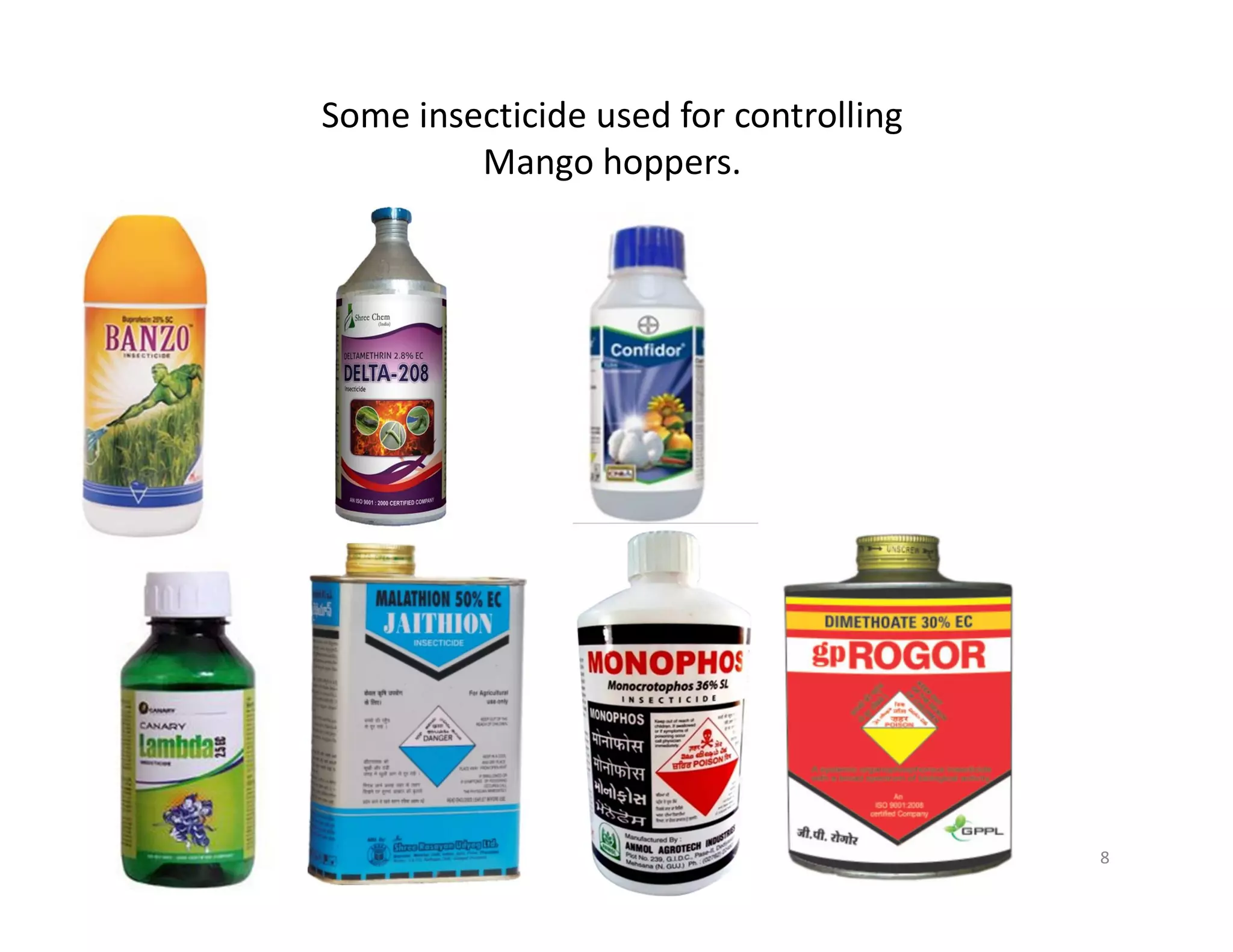 Mango insect pests and their management. | PDF | Beekeeping | Hobbies ...
