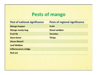 Mango insect pests and their management. | PDF