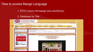 Mango Language Database Presentation | PPTX