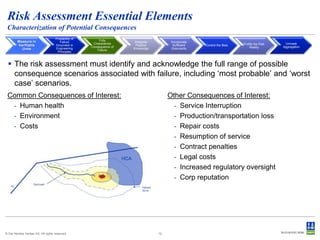 Mangold essential elements of risk assessment | PPTX