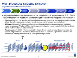 Mangold essential elements of risk assessment | PPTX