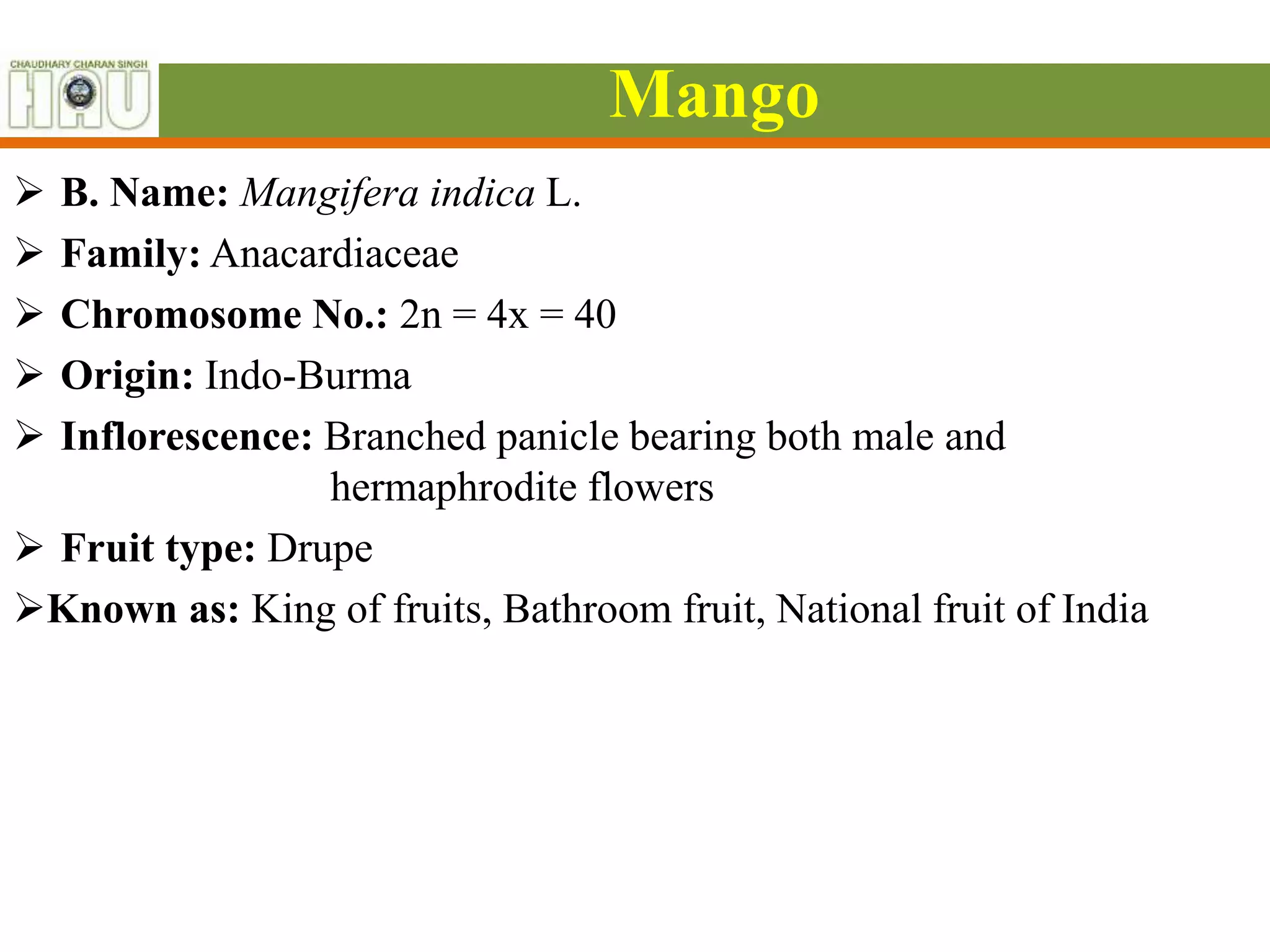 Mango malformation | PPTX