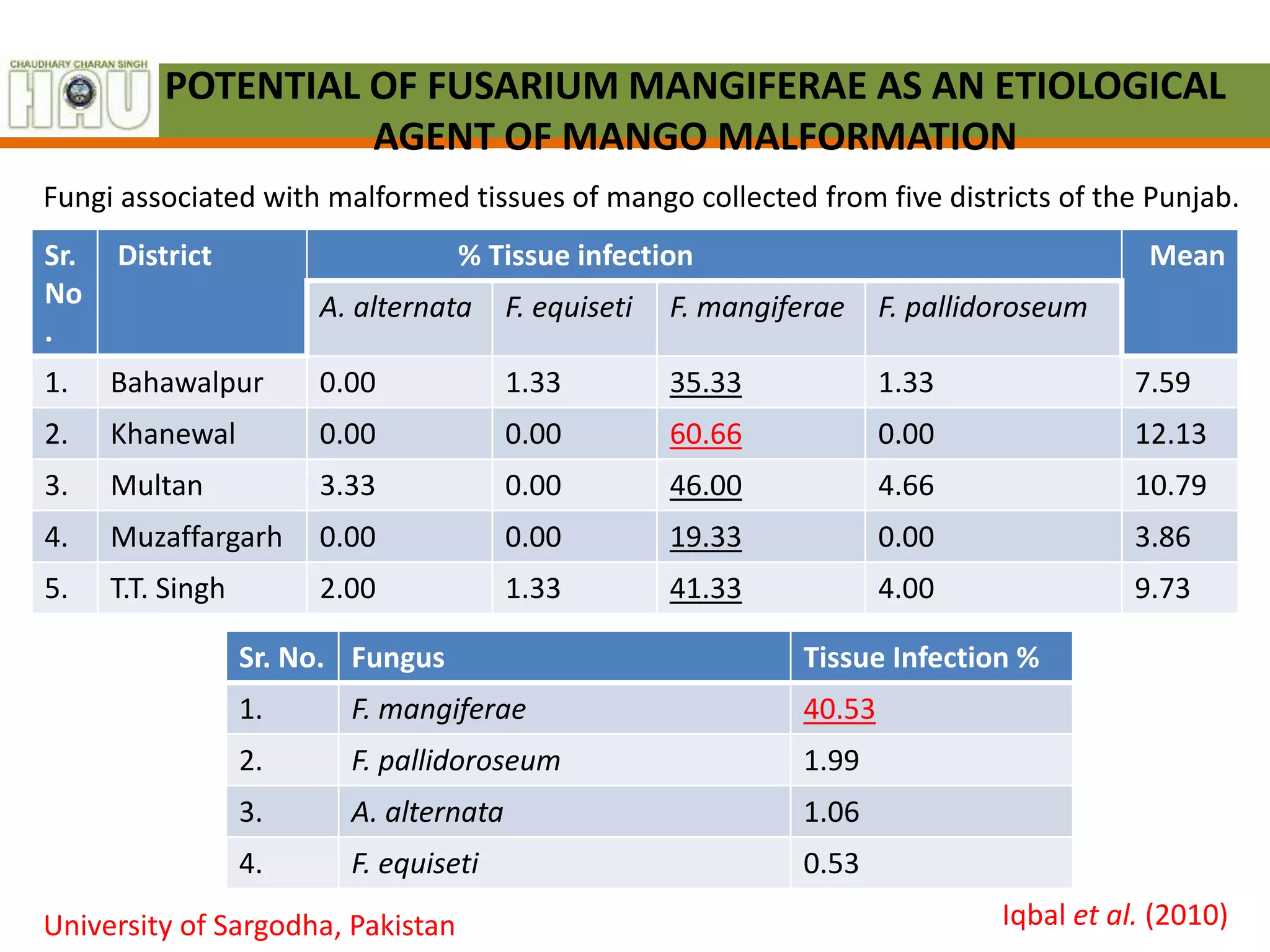 Mango malformation | PPTX