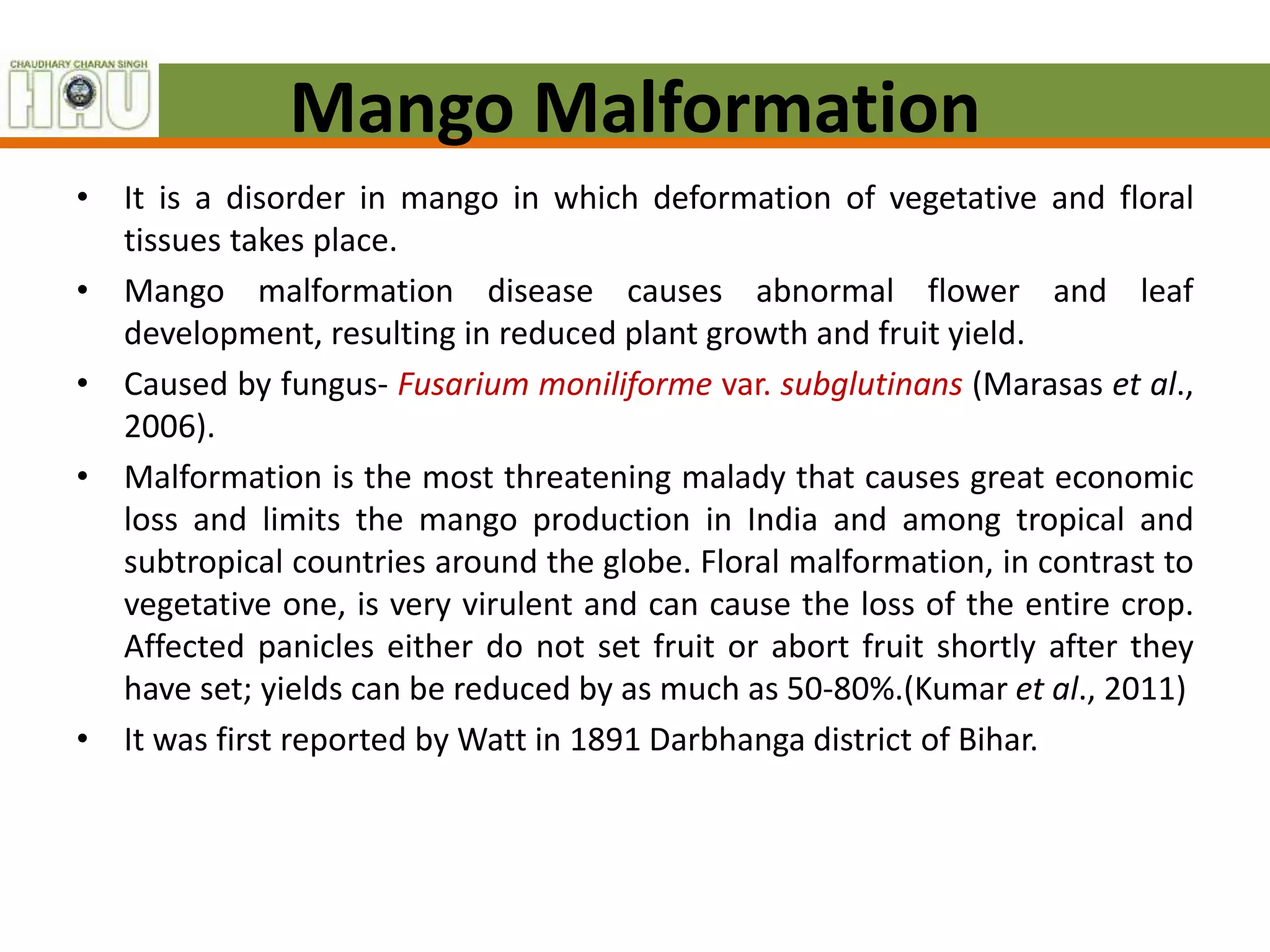Mango malformation | PPTX