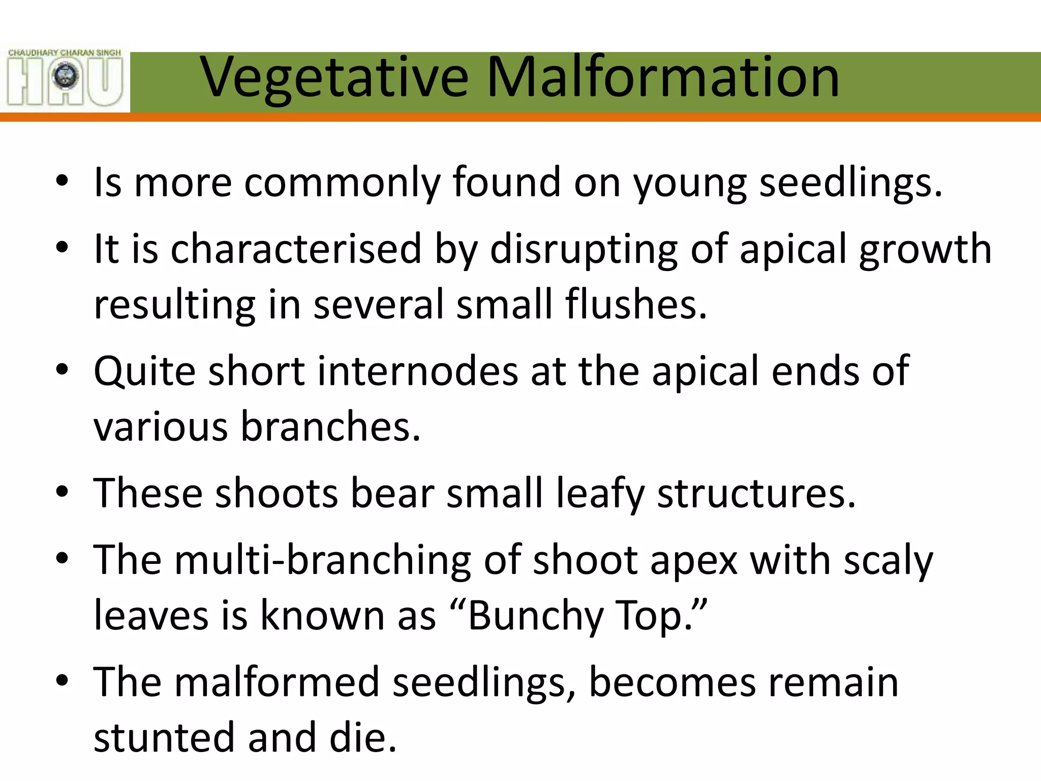 Mango malformation | PPTX