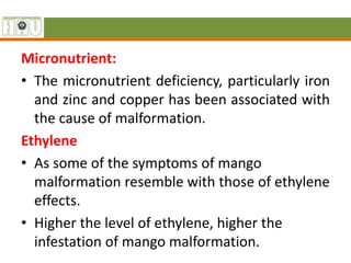 Mango malformation | PPTX