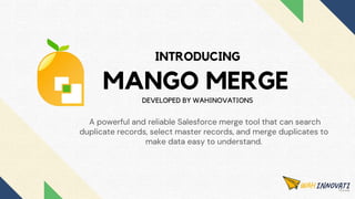 Mango Merge - Your Salesforce Data Quality Optimization Tool.pptx