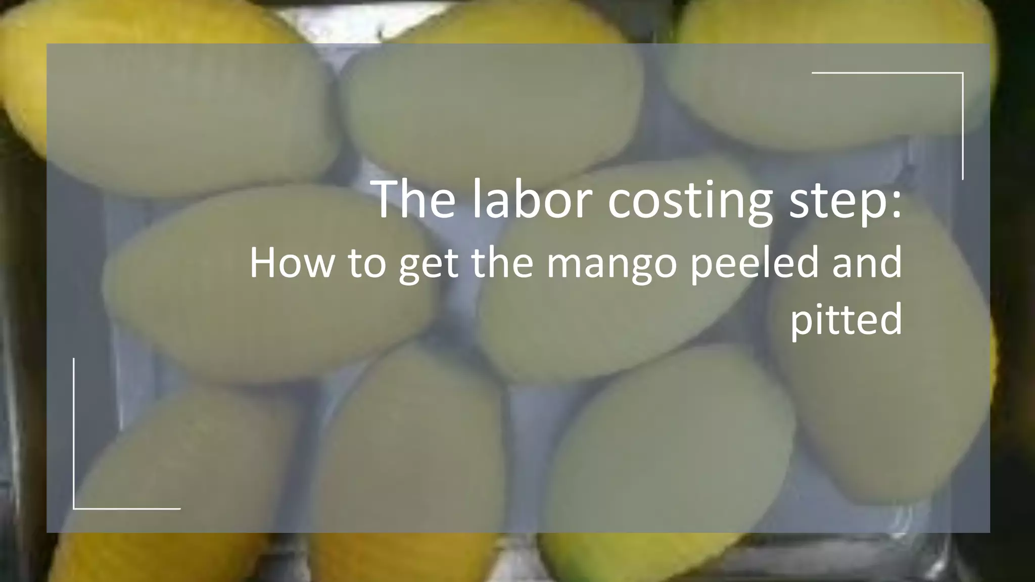 Mango peeling destoning machine | PPT