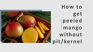 Mango peeling destoning machine | PPT