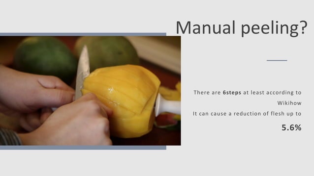 Mango peeling destoning machine | PPT