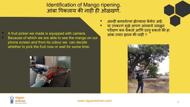 Mango Picker With Visual Inspection | PPT