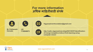 Mango Picker With Visual Inspection | PPT