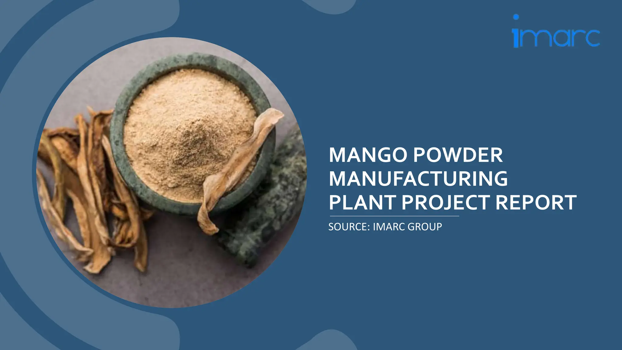 Mango Powder Manufacturing Plant Report Project.pptx