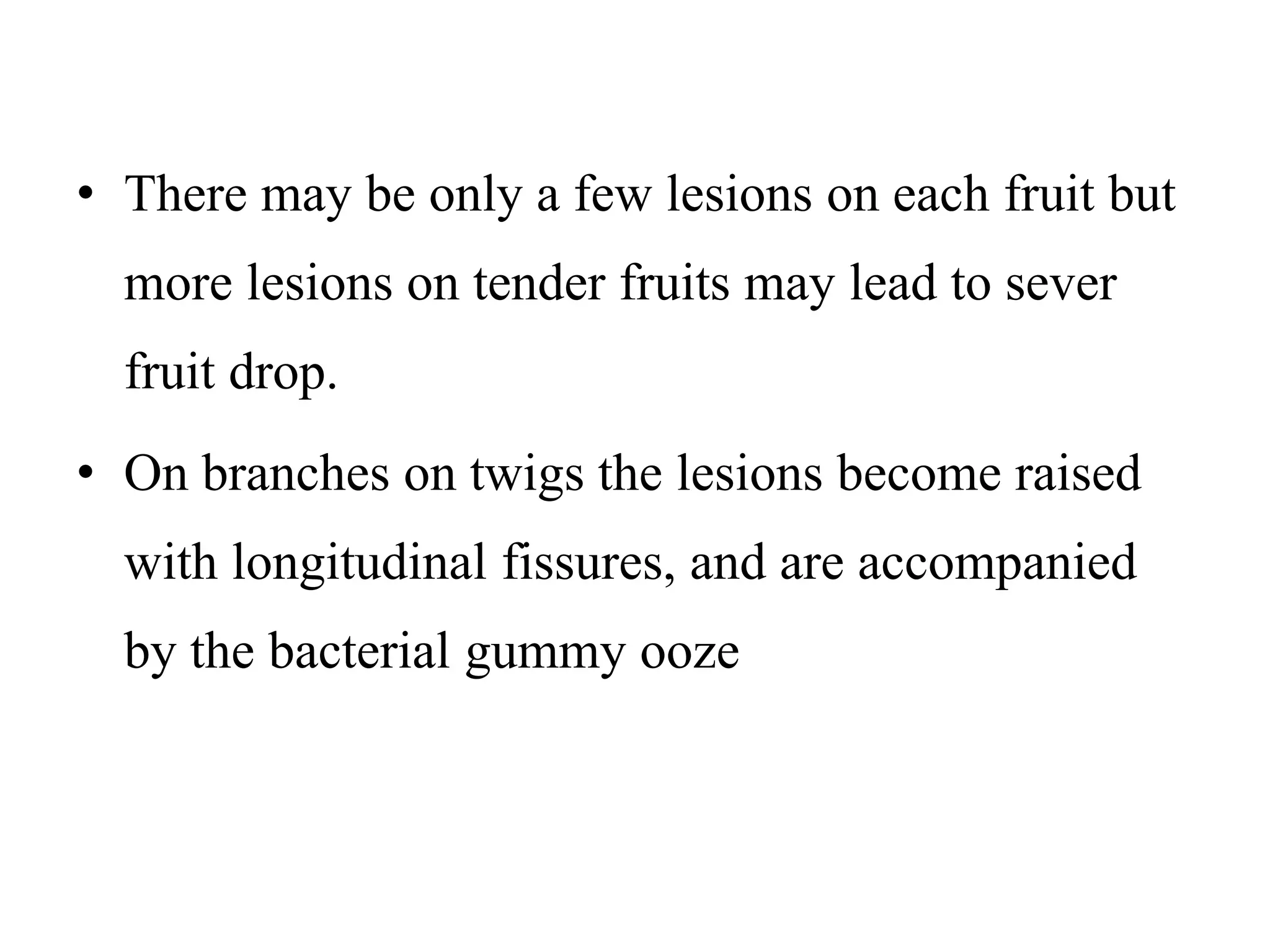Mango bacterial canker diseases ppt.pptx
