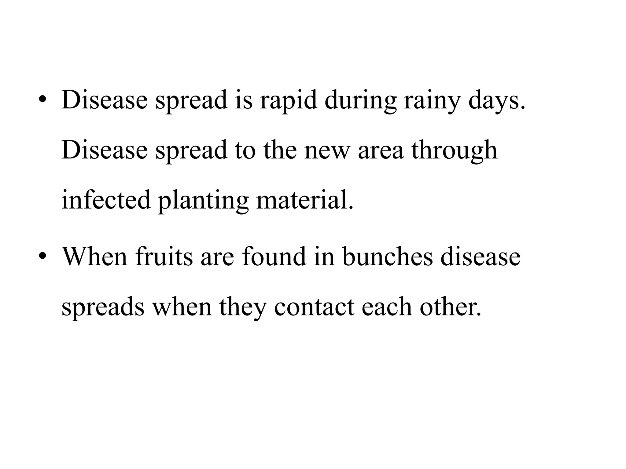 Mango bacterial canker diseases ppt.pptx