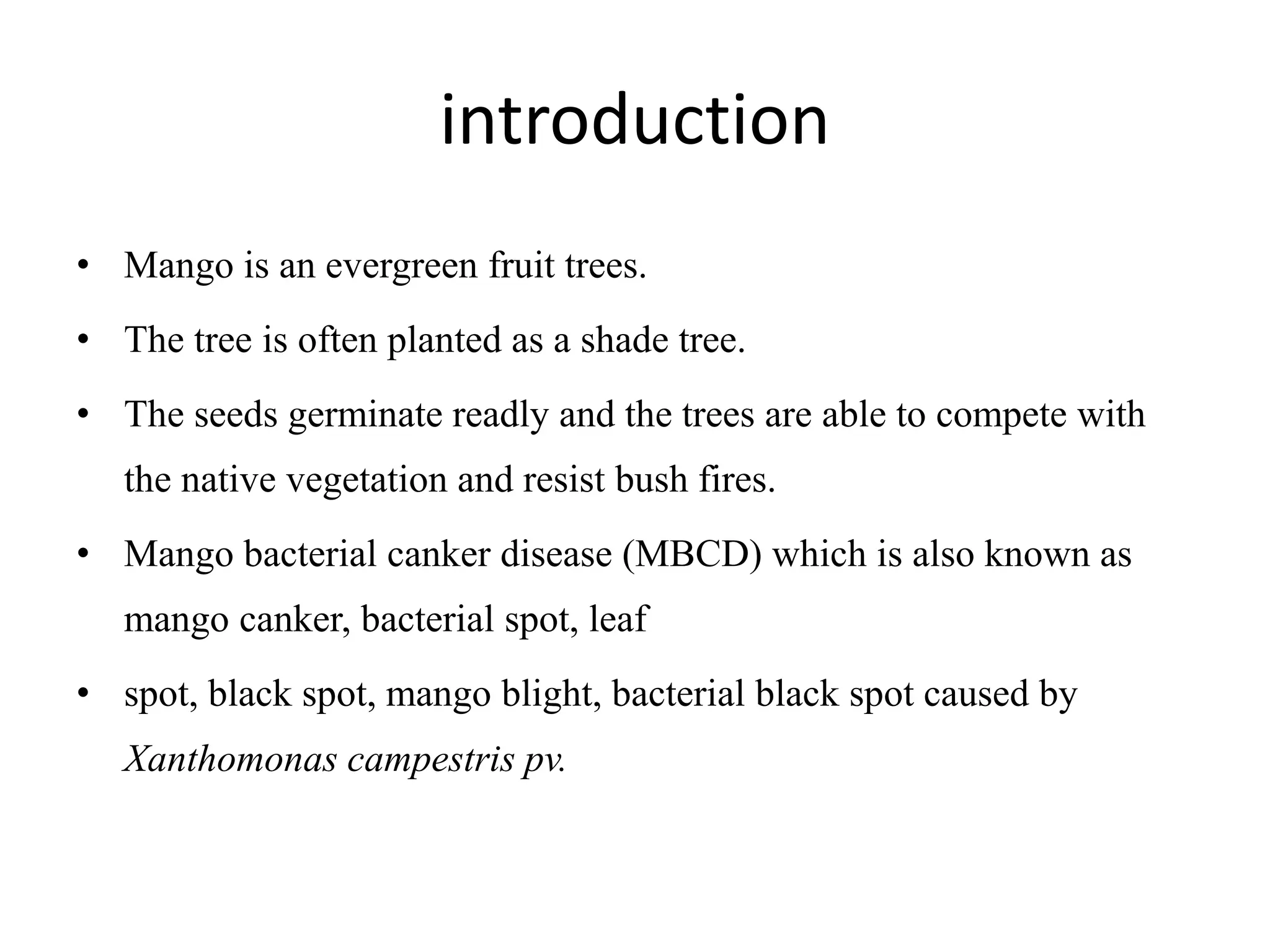 Mango bacterial canker diseases ppt.pptx