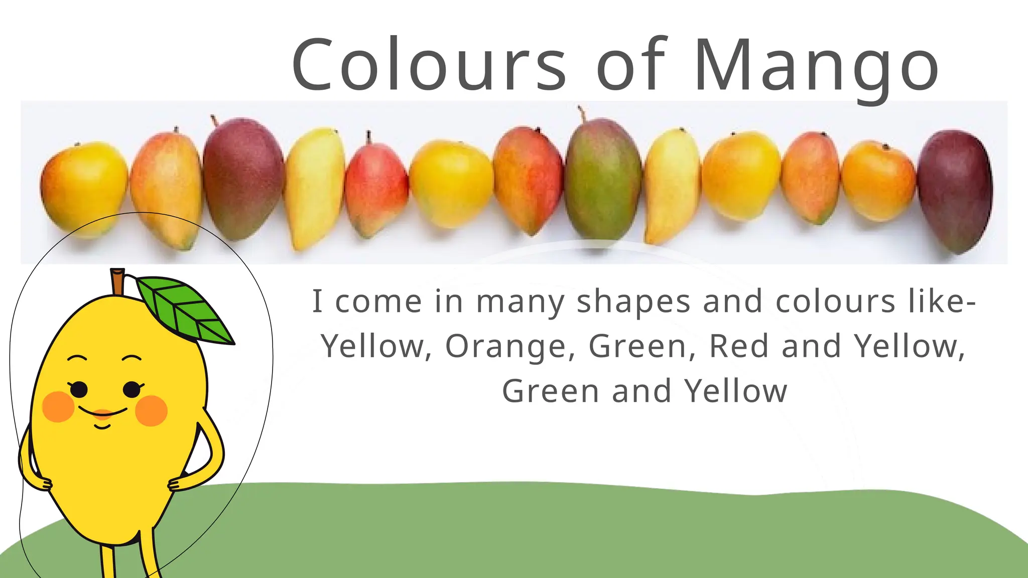 Mango - The king of fruit, Fun facts about mangoes | PPTX
