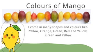 Mango - The king of fruit, Fun facts about mangoes | PPT