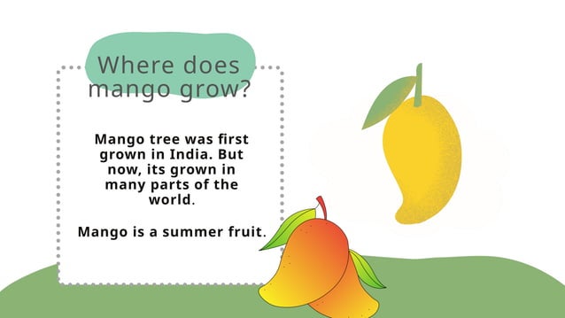 Mango - The king of fruit, Fun facts about mangoes | PPT
