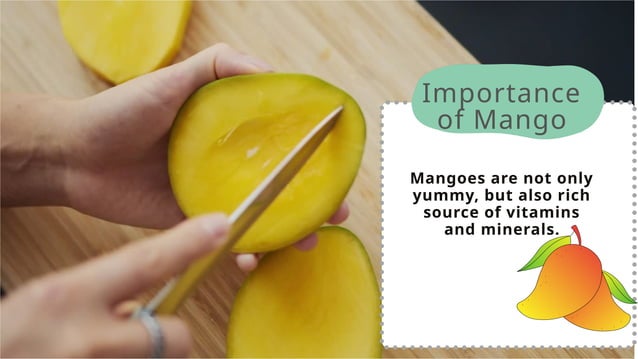 Mango - The king of fruit, Fun facts about mangoes | PPT