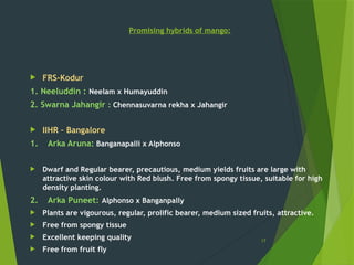 mango production technology ppt prepared by anjinayya.pptx