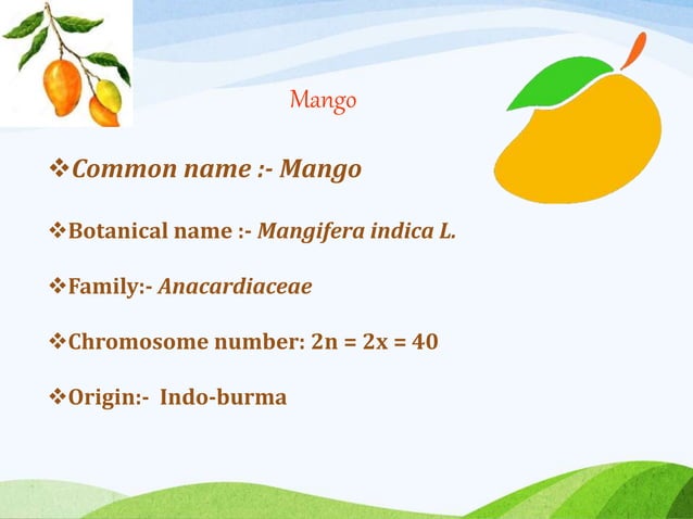 Biodiversity in Mango.pptx