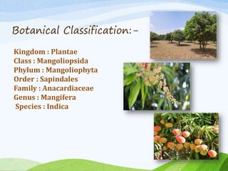 Biodiversity in Mango.pptx