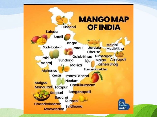 Biodiversity in Mango.pptx